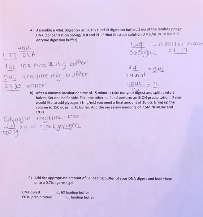 Solved A) Assemble a 40uL digestion using 10x Hind Ill | Chegg.com