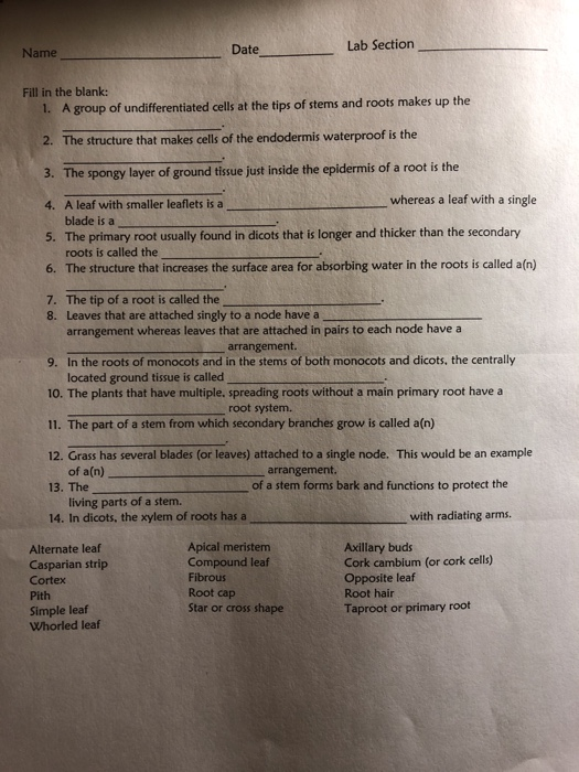Solved Lab Section Date Name 10 Exercise 13 Homework: Roots, | Chegg.com