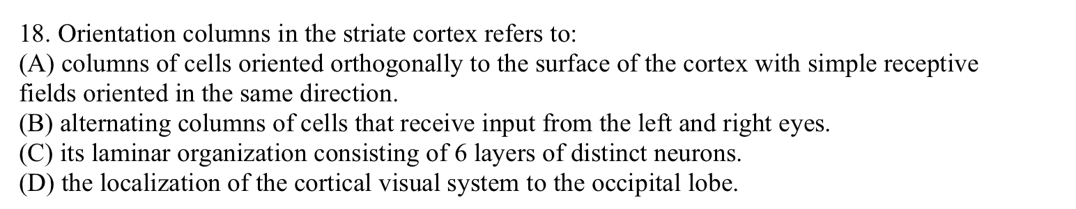 Solved 18. Orientation columns in the striate cortex refers | Chegg.com