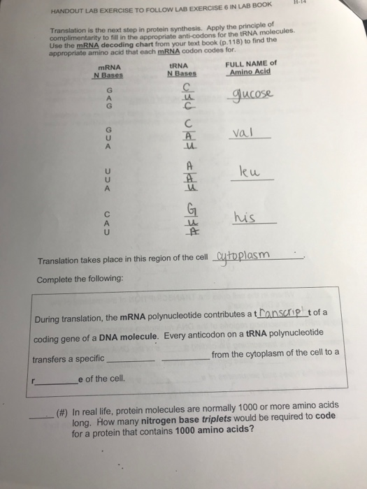 Solved HANDOUT LAB EXERCISE TO FOLLOW LAB EXERCISE 6 IN LAB | Chegg.com Solved HANDOUT LAB EXERCISE TO FOLLOW LAB EXERCISE 6 IN LAB | Chegg.com