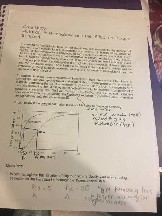 Solved Case Study Mutations In Hemoglobin and Their Effect | Chegg.com