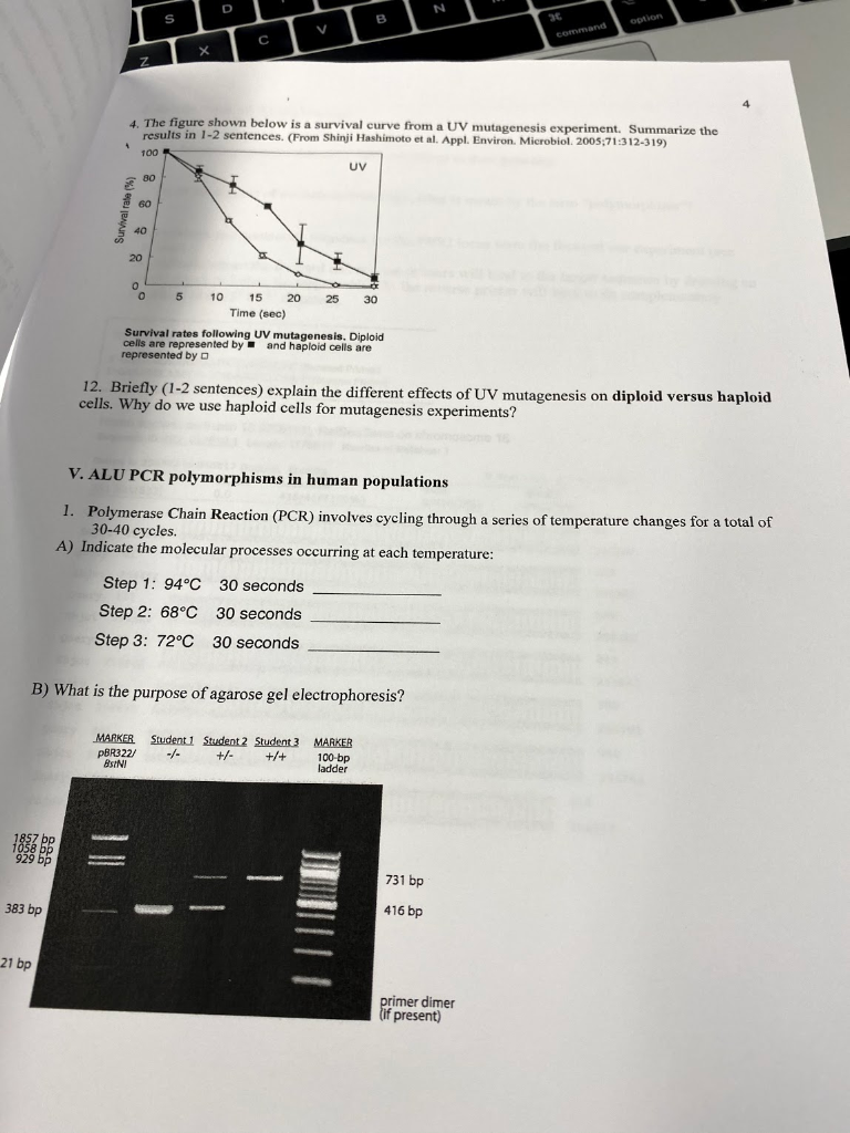 Solved 1 sD option II. REDUCING POWER OF CHLOROPLASTS 1. | Chegg.com