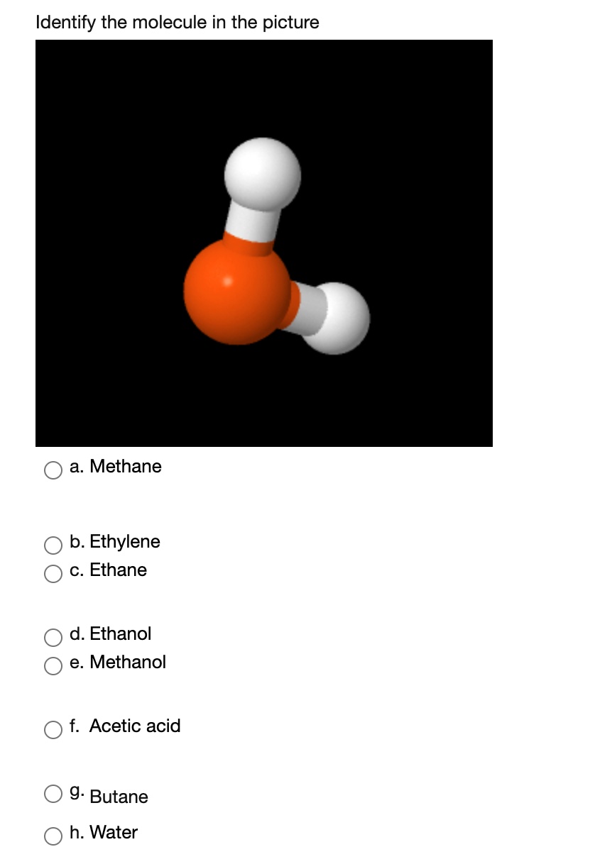 Solved Identify the molecule in the picture a. Methane b. | Chegg.com