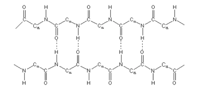 Solved Identify the secondary structural element shown in | Chegg.com