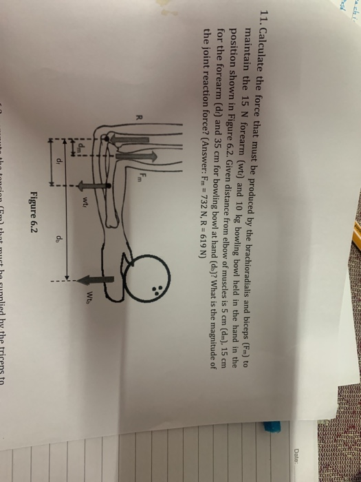 Solved achi Date: 11. Calculate the force that must be | Chegg.com