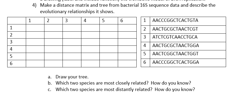 Solved 1 2 N 4) Make a distance matrix and tree from | Chegg.com