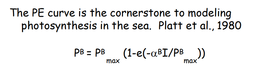 The PE curve is the cornerstone to modeling | Chegg.com