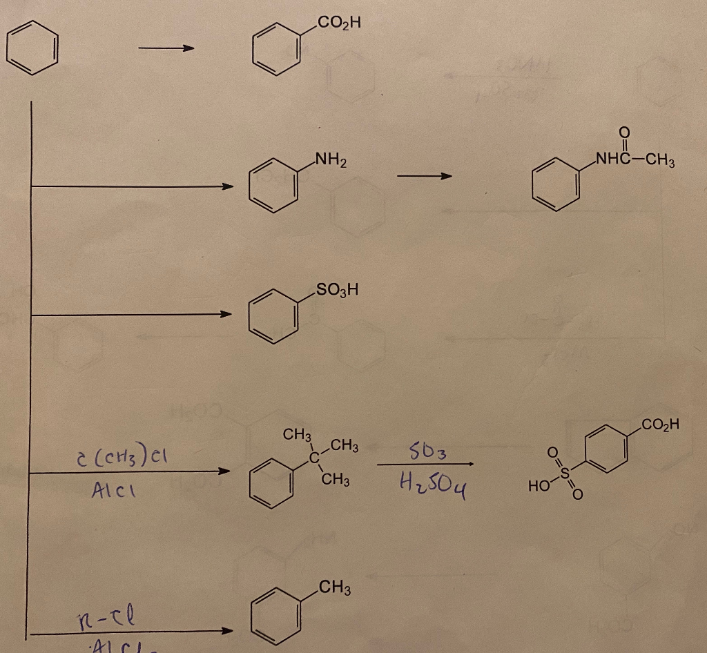 Solved CO2H INH₂ INHO-CHI SO3H CO2H CH3 CH3 a (CH3) el 503 | Chegg.com