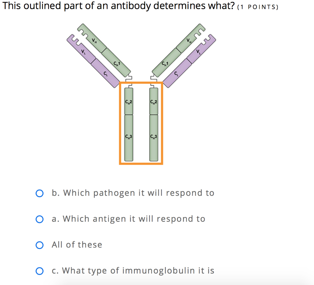 Solved This outlined part of an antibody determines what? (1 | Chegg.com
