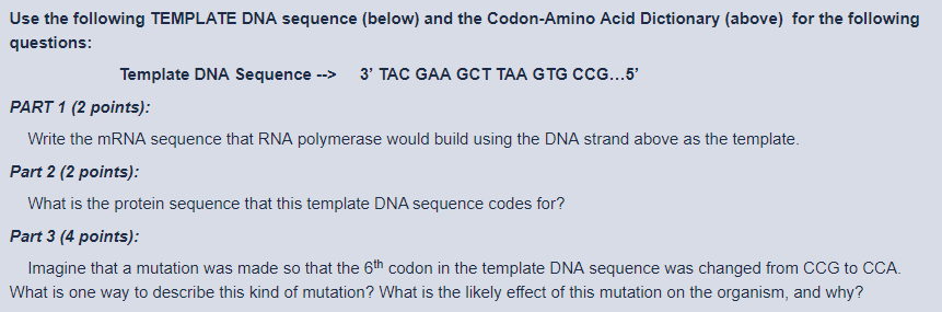 Solved Use the following TEMPLATE DNA sequence (below) and | Chegg.com