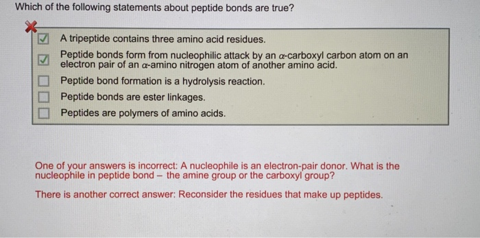 Solved Which of the following statements about peptide bonds | Chegg.com