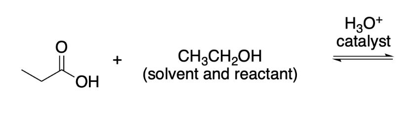 Solved H30+ catalyst + CH3CH2OH (solvent and reactant) | Chegg.com
