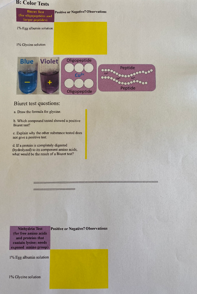 Solved B: Color Tests Positive or Negative? Observations | Chegg.com