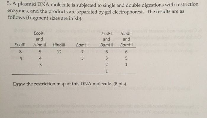 Solved 5. A plasmid DNA molecule is subjected to single and | Chegg.com