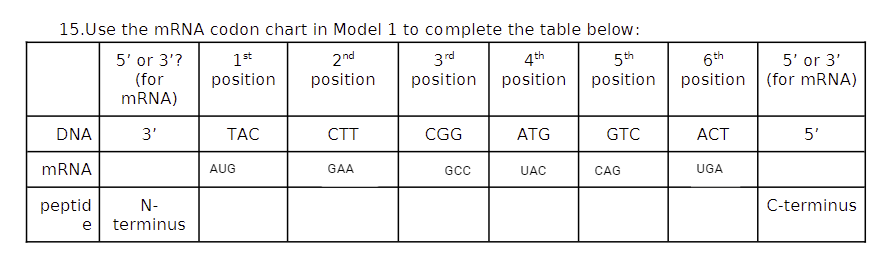 Solved Model 1 - Codons 15. Use the mRNA codon chart in | Chegg.com