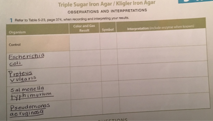 Solved Triple Sugar Iron Agar / Kligler Iron Agar | Chegg.com