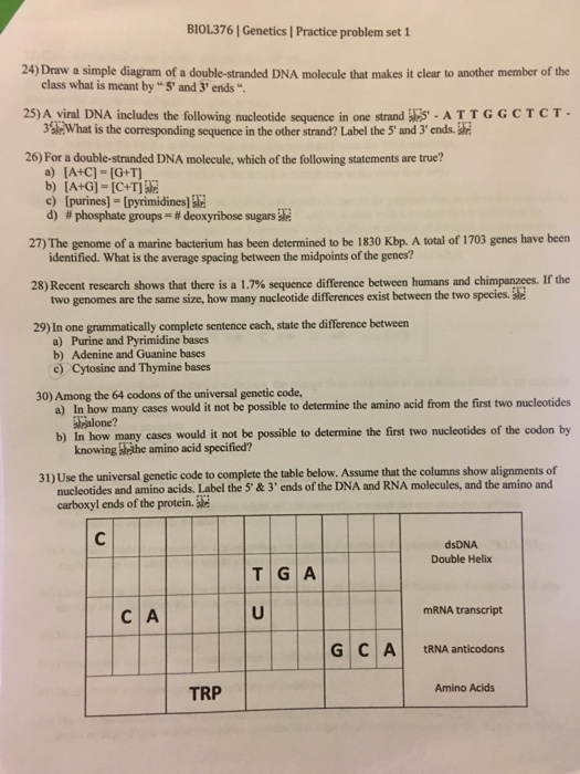 Solved BIOL376| Genetics | Practice problem set 1 The | Chegg.com