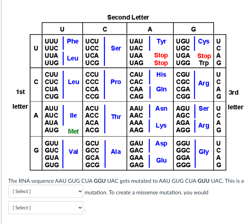 Solved Second Letter с А G V Ser UUU U UUC UUA UUG 1 Phe UCU | Chegg.com
