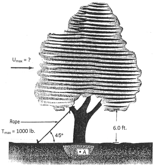 Solved A newly-planted tree is supported by a rope to keep | Chegg.com