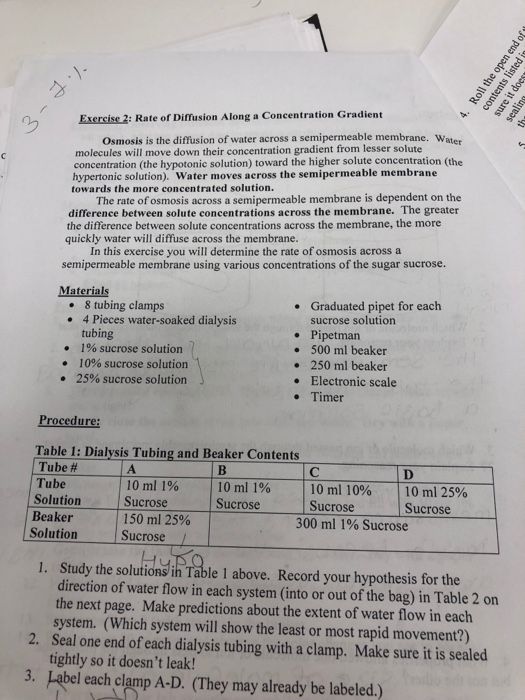 Solved 2 Exercise 2: Rate of Diffusion Along a Concentration | Chegg.com