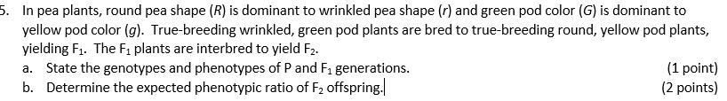 Solved In pea plants, round pea shape (R) is dominant to | Chegg.com