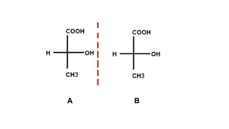 Solved Mark the correct statement. Structures A and B | Chegg.com