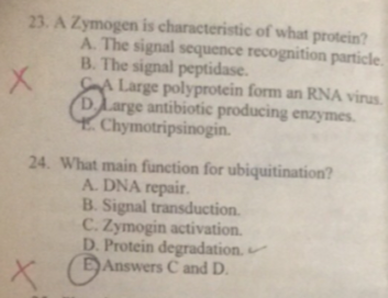Solved 23. A Zymogen is characteristic of what protein? A. | Chegg.com