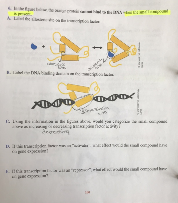 Solved 6. In the figure below, the orange protein cannot | Chegg.com