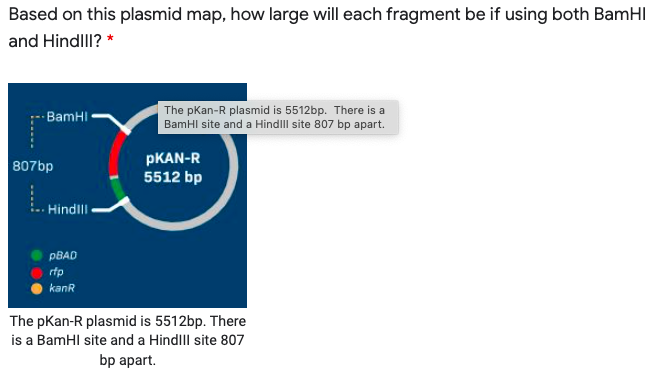 Solved Based on this plasmid map, how many fragments do you | Chegg.com
