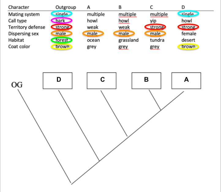 Solved Consider the character matrix and associated tree | Chegg.com