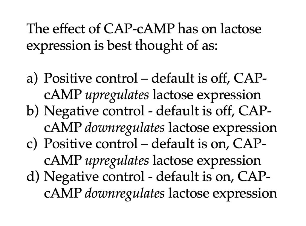 Solved The effect of CAP-CAMP has on lactose expression is | Chegg.com