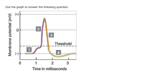 Solved ( PLEASE EXPLAIN WHY. The answer is the () )Which | Chegg.com