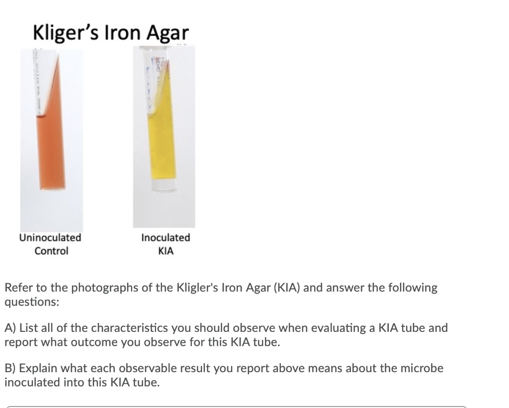Solved Kliger's Iron Agar Uninoculated Control Inoculated | Chegg.com