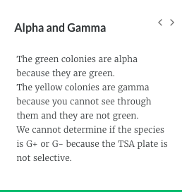 Solved Can you tell which one is Gram + and which one is | Chegg.com