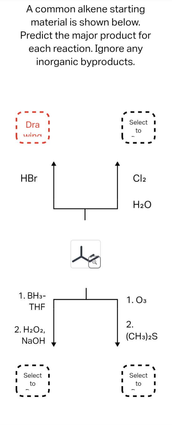 Solved A common alkene starting material is shown below. | Chegg.com