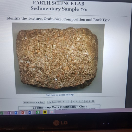 Solved EARTH SCIENCE LAB Sedimentary Sample #1: Identify the | Chegg.com