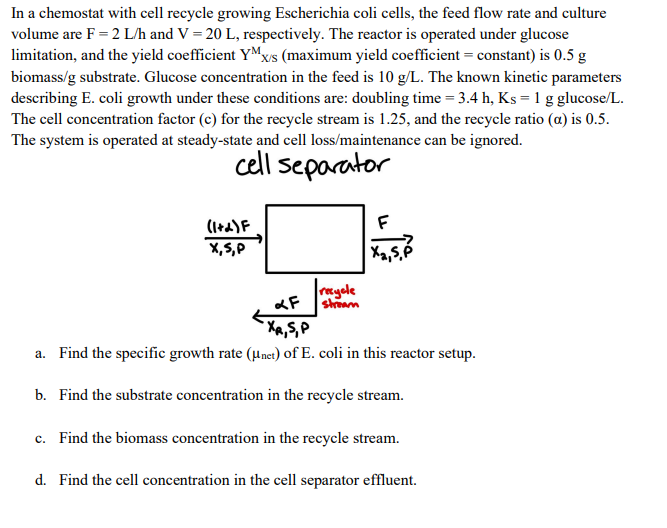 Solved In a chemostat with cell recycle growing Escherichia | Chegg.com