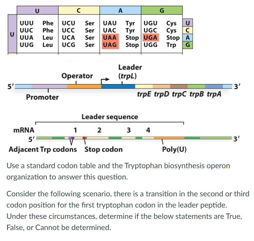 Solved U с A U UUU UUC UUA UUG Phe UCU Phe UCC Leu UCA Leu | Chegg.com
