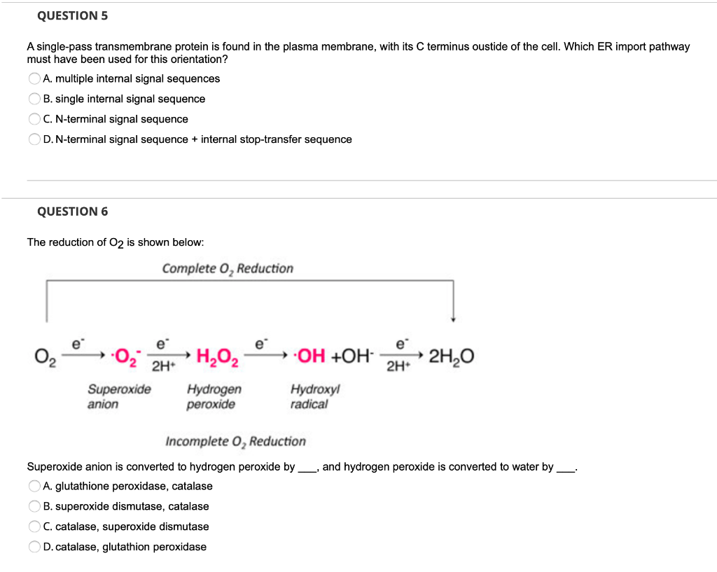 A single-pass transmembrane protein is found in the | Chegg.com