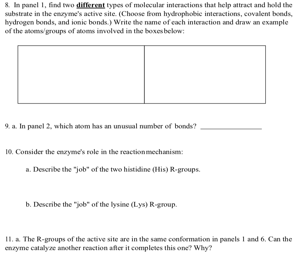 How do enzymes work? MODEL 1: NOTES: - His 12, Lys41, | Chegg.com