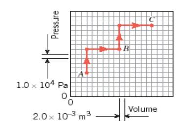 Solved Using the data presented in the | Chegg.com