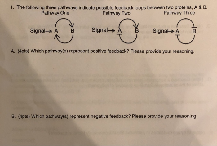 Solved 1. The following three pathways indicate possible | Chegg.com