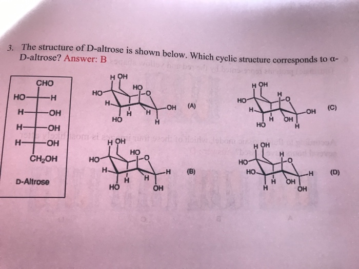 Solved The structure of D-altrose is shown below. Which | Chegg.com