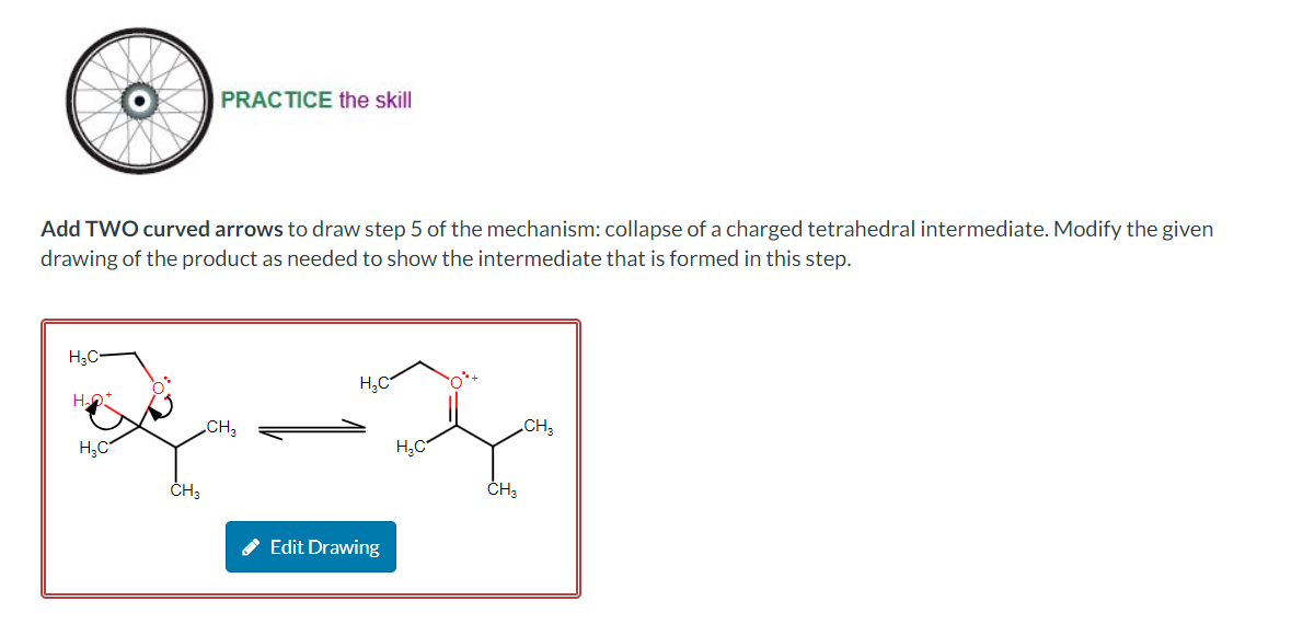 Solved Add TWO curved arrows to draw step 5 ﻿of the | Chegg.com