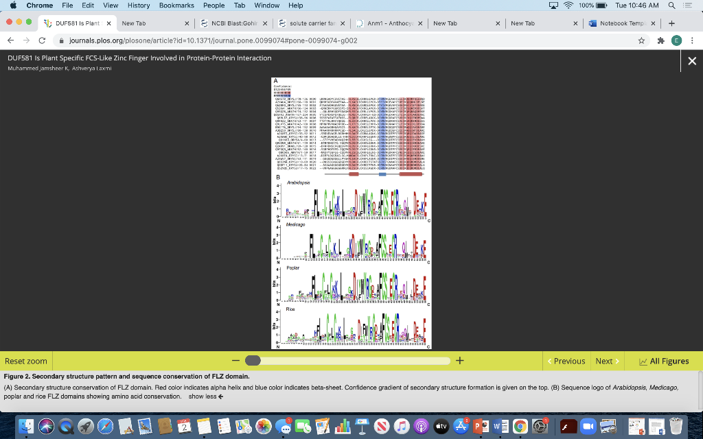 Solved Chrome File Edit View History Bookmarks People Tab | Chegg.com