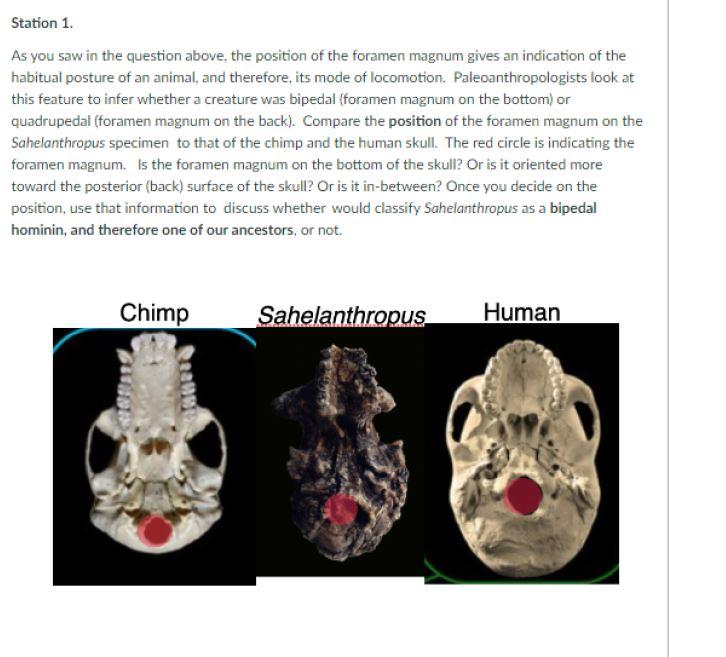 Solved As you saw in the question above, the position of | Chegg.com