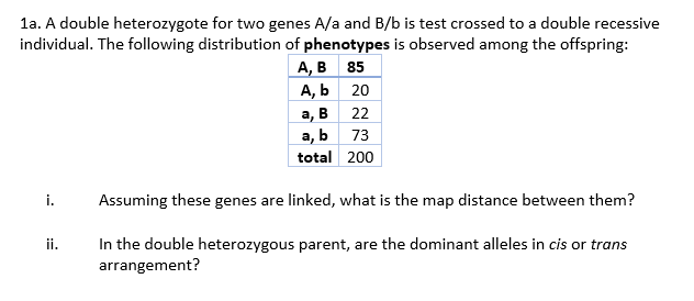 Solved 1a. A double heterozygote for two genes A/a and B/b | Chegg.com