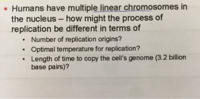 Solved Humans have multiple linear chromosomes in the | Chegg.com