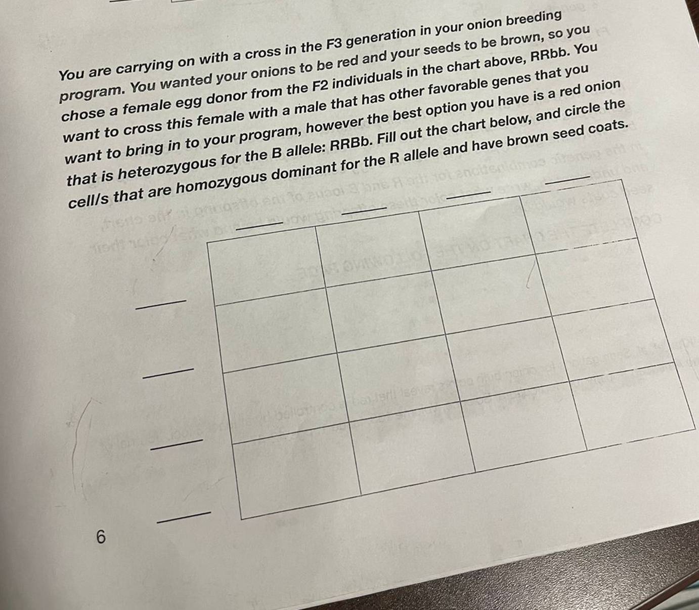 Solved You are carrying on with a cross in the F3 | Chegg.com