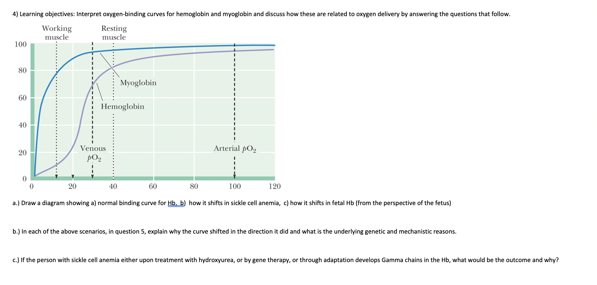 Solved 4) Learning objectives: Interpret oxygen-binding | Chegg.com
